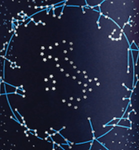 WineStar - Fine Wine Australia